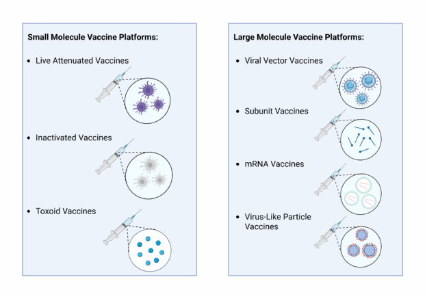 Vaccine Manufacturing: CDMO Services, Market Outlook & Outsourcing ...